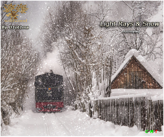 Second Life Marketplace - [Wildwood] Light Rays & Snow